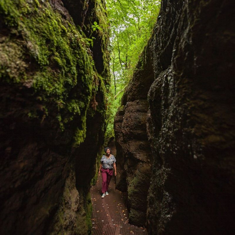 Allemagne : Thuringe, entre Histoire et parcs nationaux classés à l'Unesco