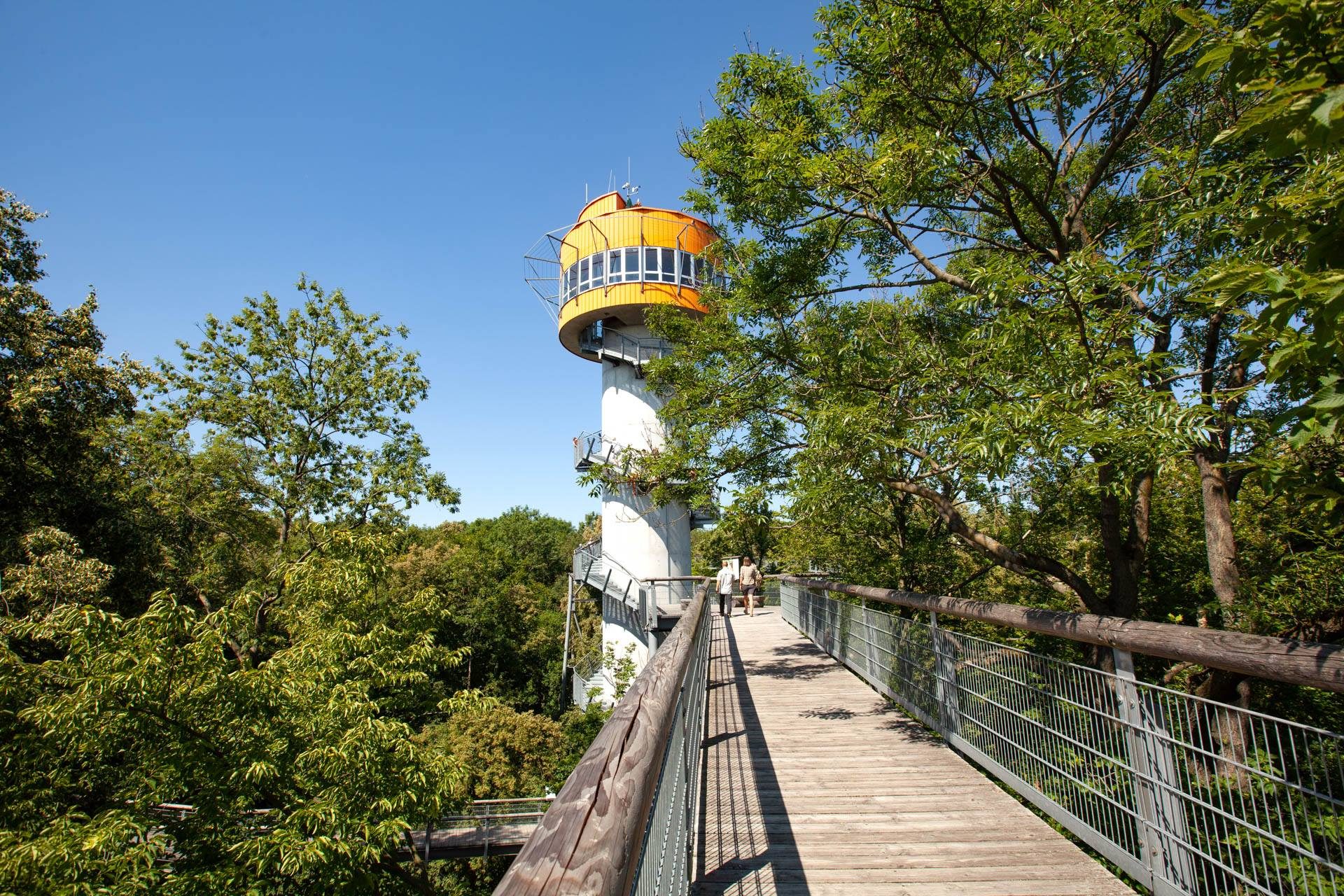 Allemagne : Thuringe, entre Histoire et parcs nationaux classés à l'Unesco